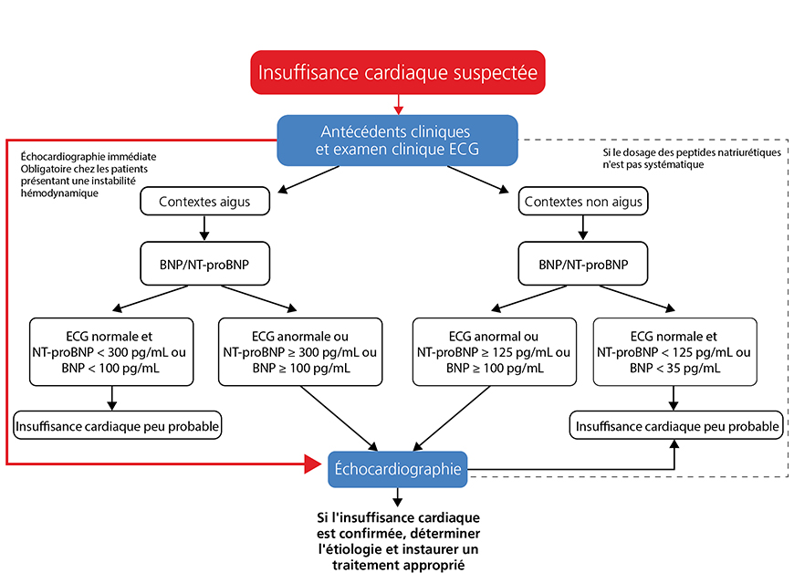 Insuffisance Cardiaque Ecg : DECOMPENSATION CARDIAQUE PDF - Dosage de ... Insuffisance Cardiaque Ecg : DECOMPENSATION CARDIAQUE PDF - Dosage de ...